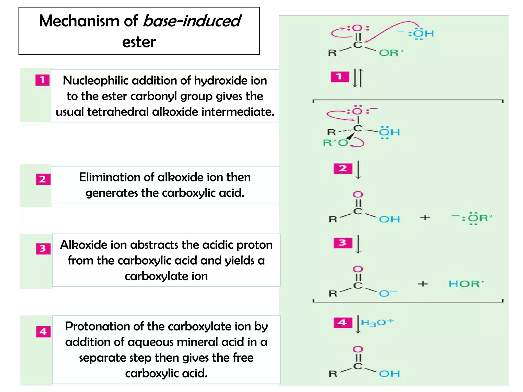 Reaction Mechanisms of Esters | PDF