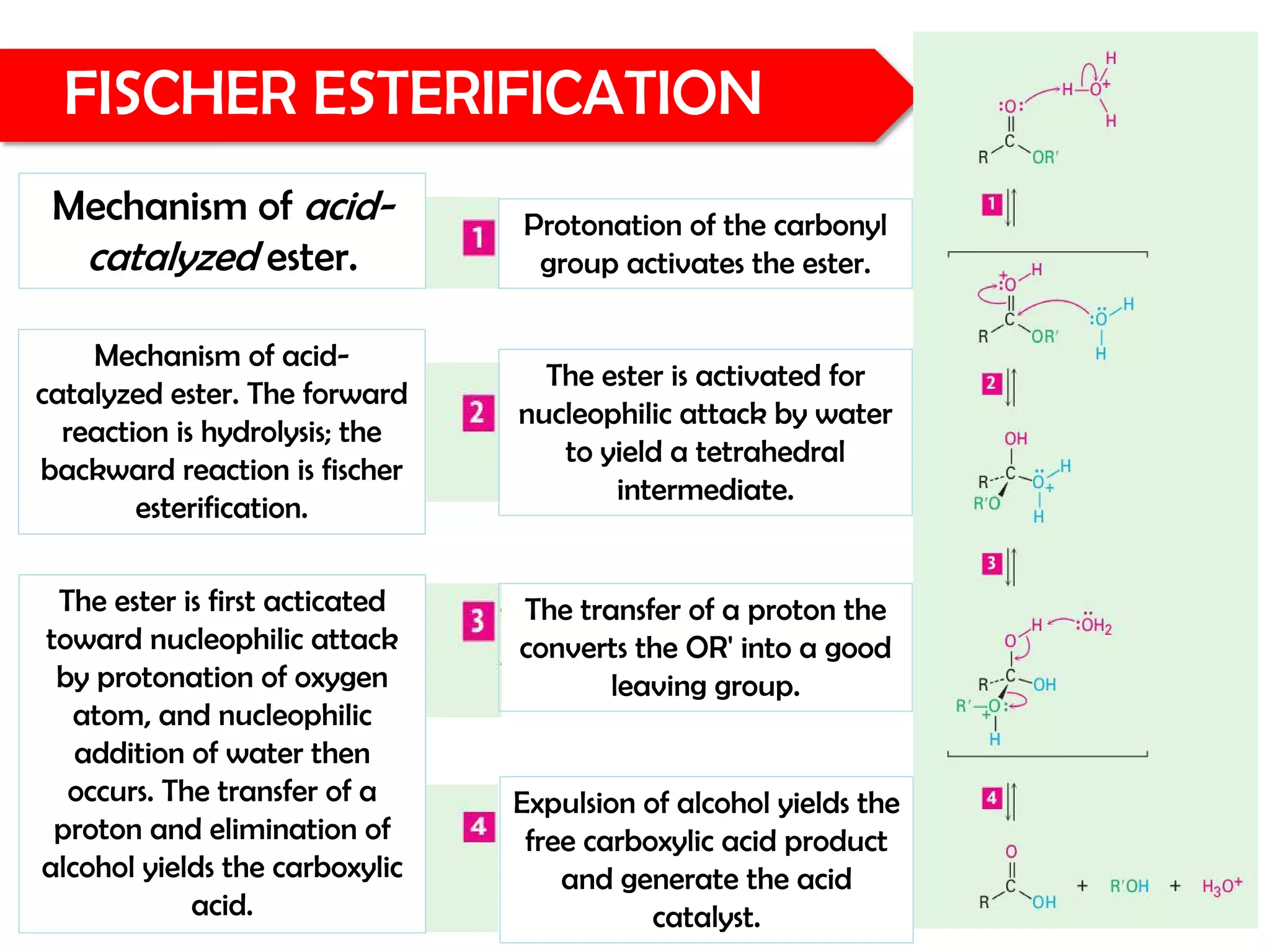 Reaction Mechanisms of Esters | PDF