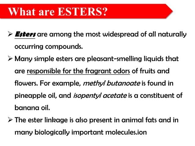 Reaction Mechanisms of Esters | PDF