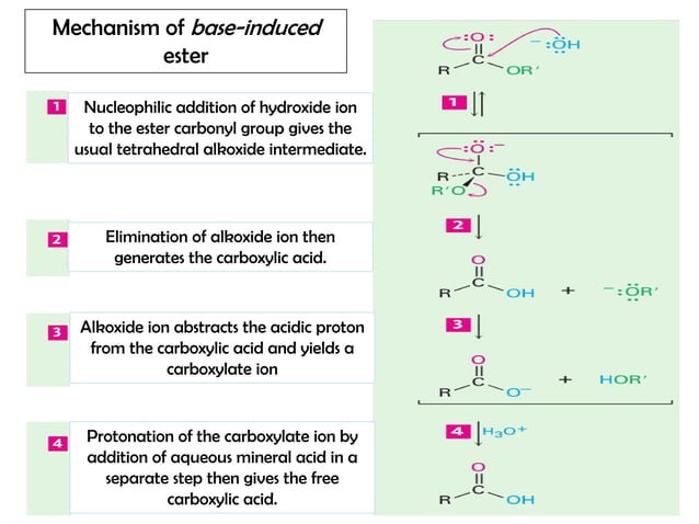 Reaction Mechanisms of Esters | PDF