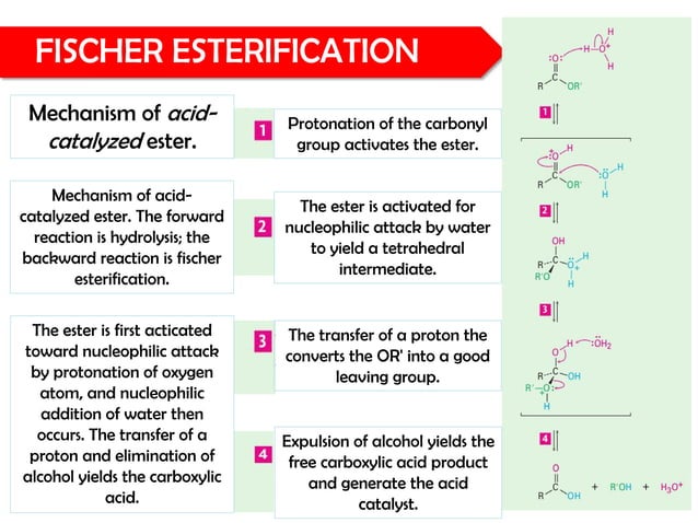 Reaction Mechanisms of Esters | PDF