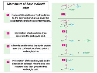Reaction Mechanisms of Esters | PPT