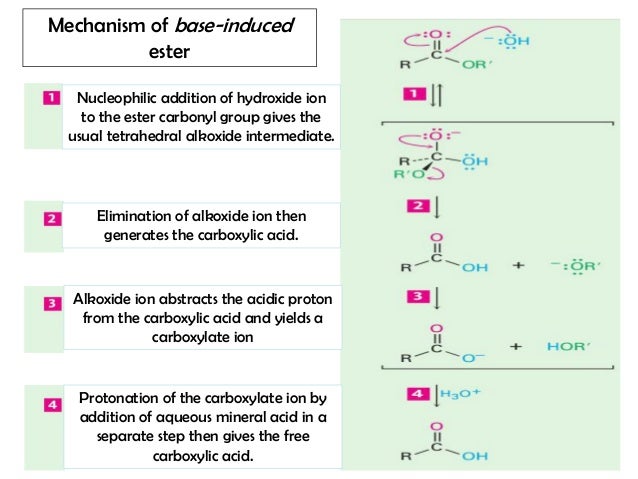 Reaction Mechanisms of Esters