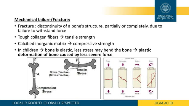 Reaction_of_Musculoskeletal_Tissues_to_Disorders_and_Injuries.pptx