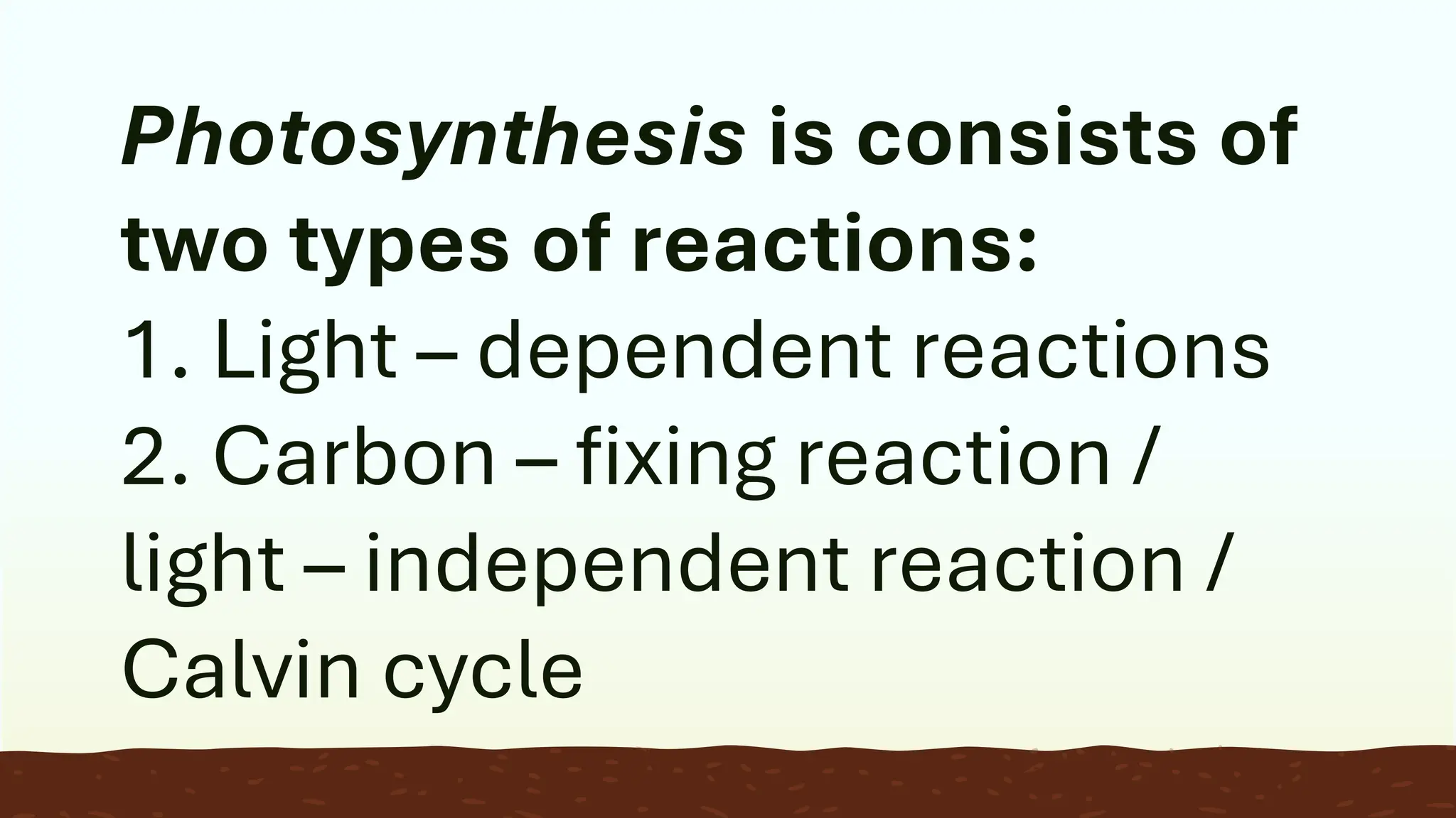 Reactions in photosynthesis for Grade 11 STEM | PDF