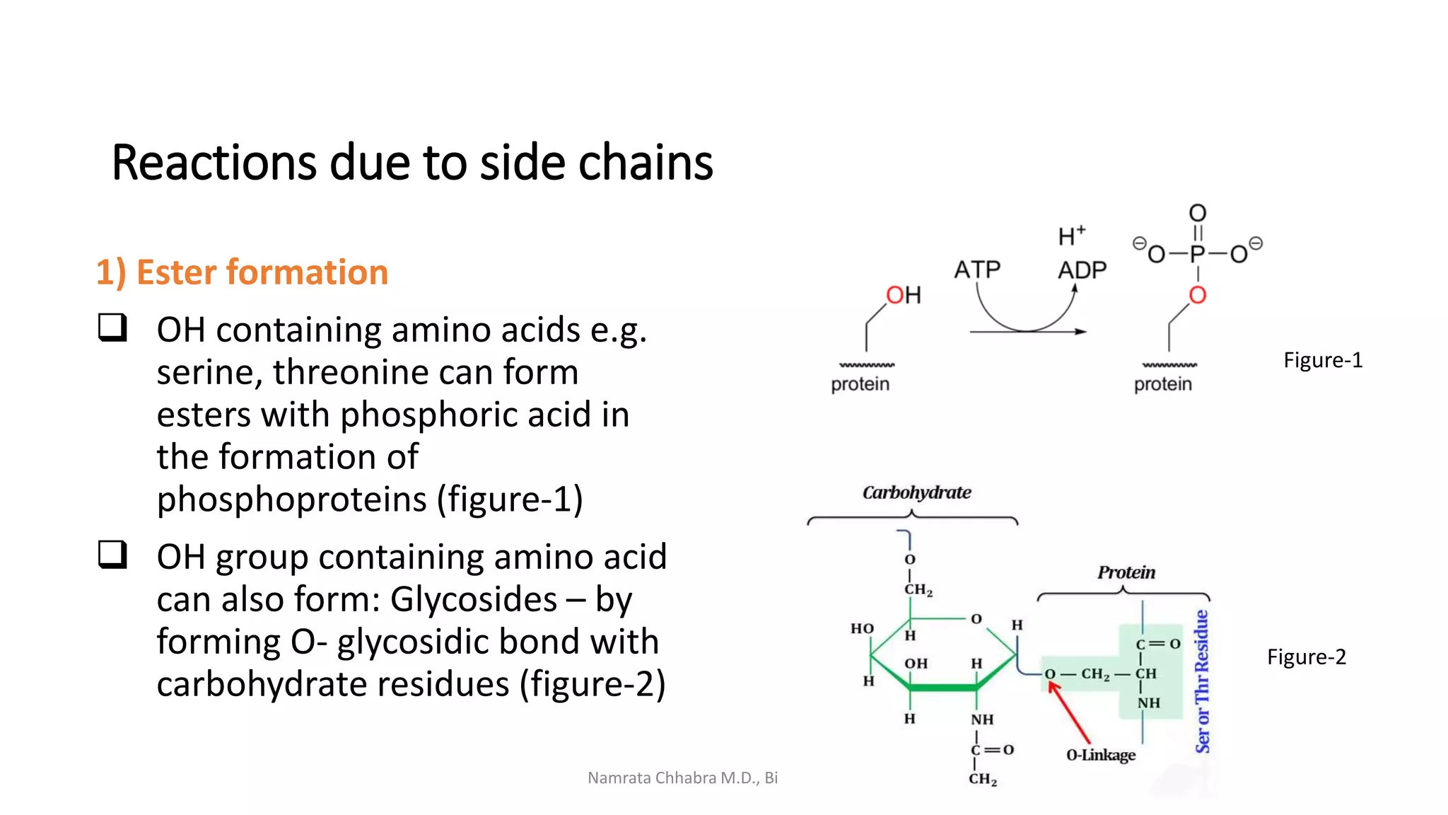 Reactions of amino acids | PPTX