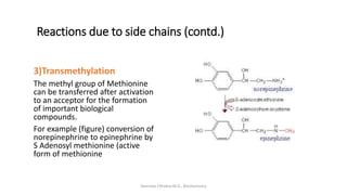 Reactions of amino acids | PPTX