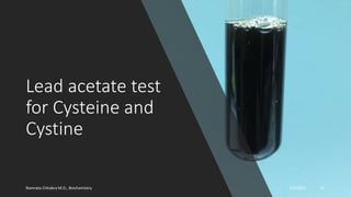Reactions of amino acids | PPTX