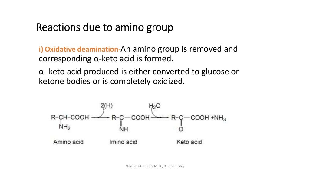 Reactions Of Amino Acids