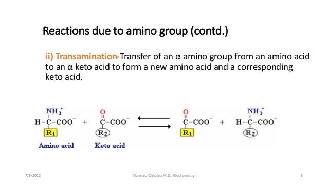 Reactions Of Amino Acids