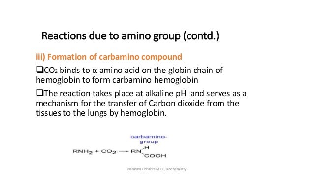 Reactions Of Amino Acids