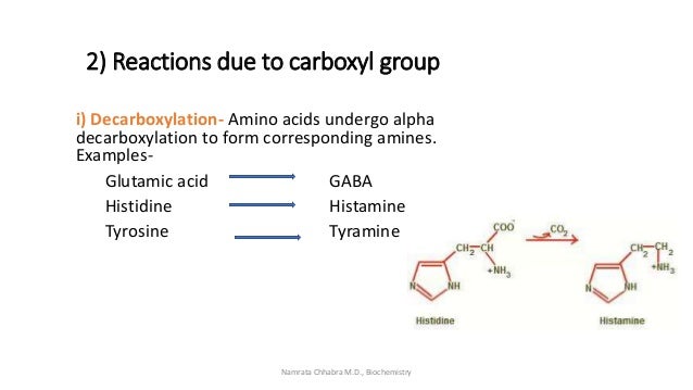 Reactions Of Amino Acids