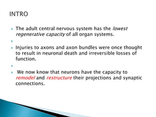 Reactions of neurons to injury | PPTX