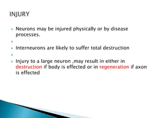 Reactions of neurons to injury | PPTX