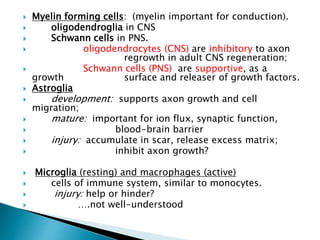 Reactions of neurons to injury | PPTX