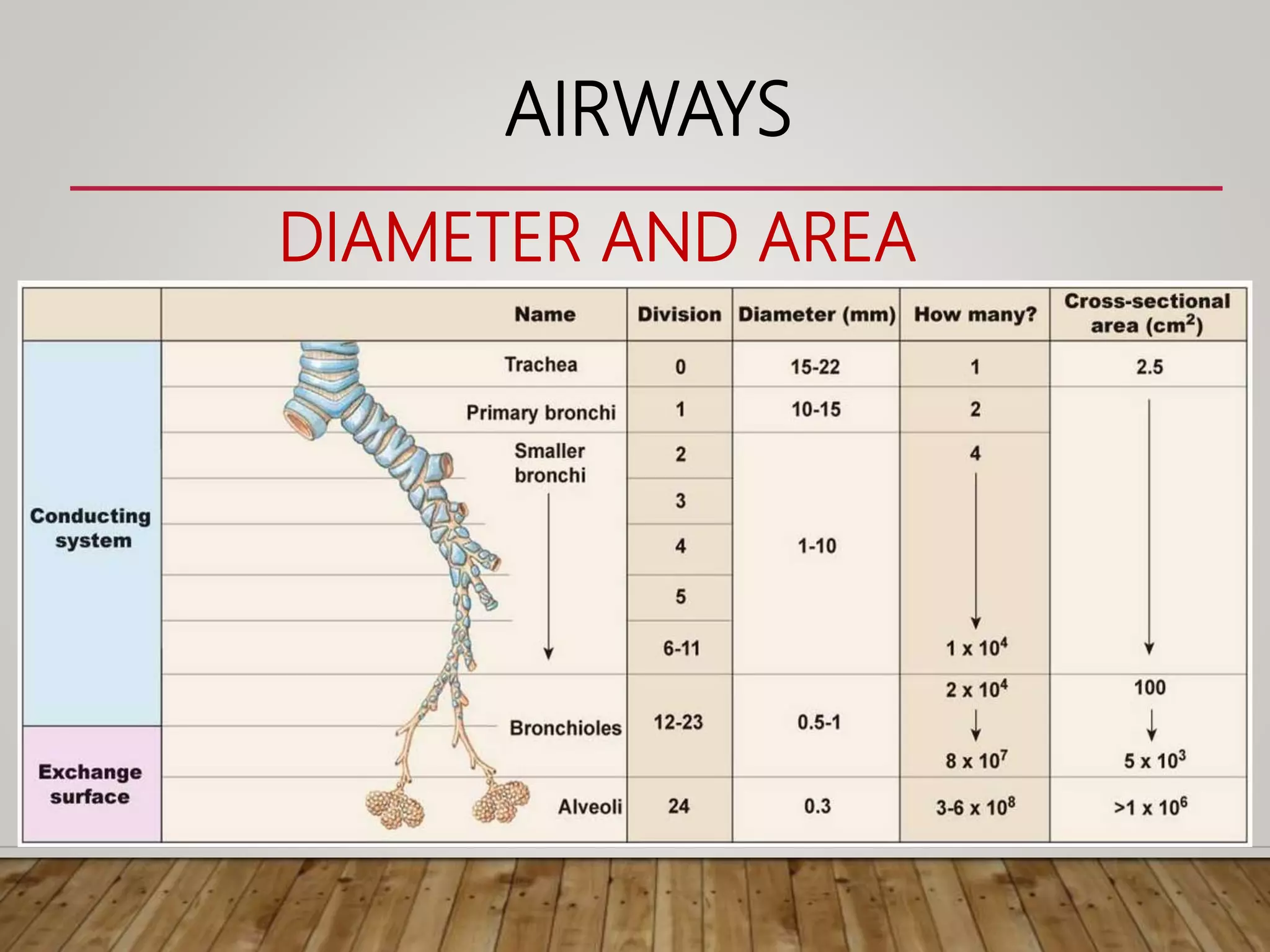 Reactive airway obstruction in children detection management_2018_pmm | PPT