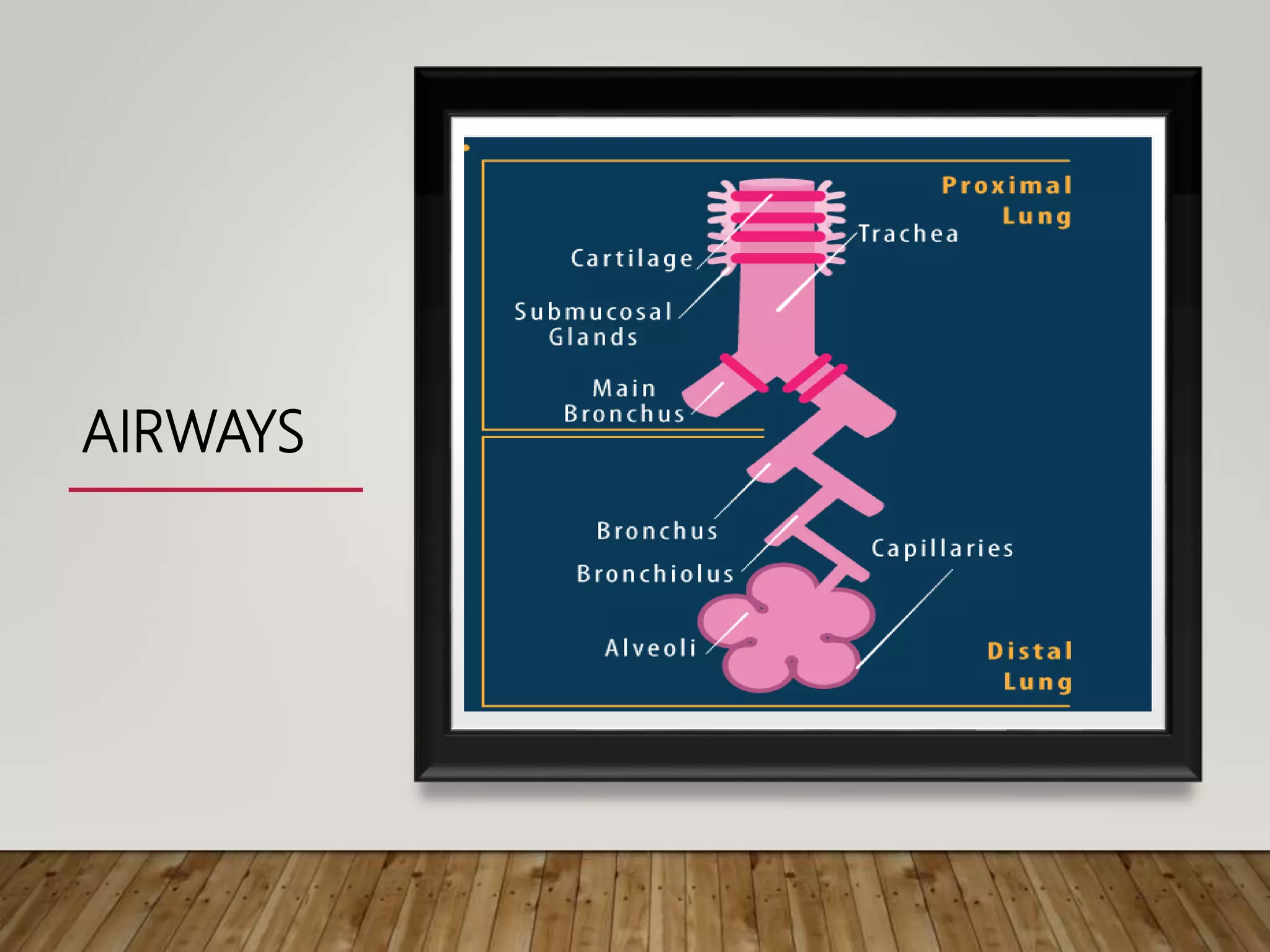 Reactive airway obstruction in children detection management_2018_pmm | PPT