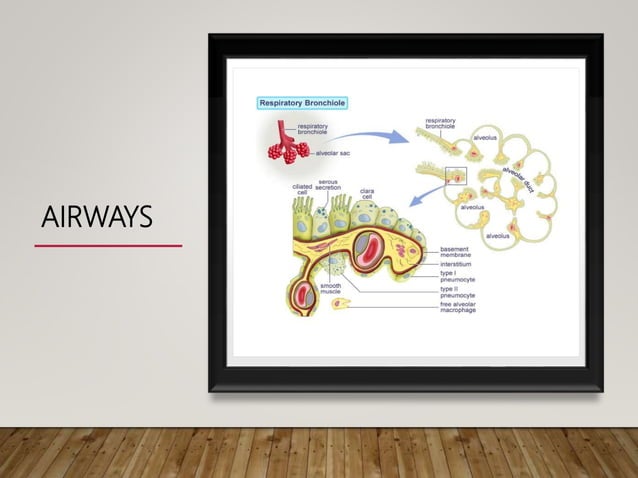 Reactive airway obstruction in children detection management_2018_pmm | PPT