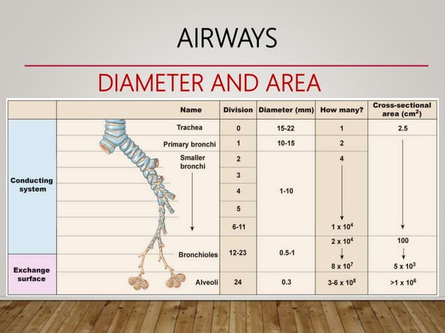 Reactive airway obstruction in children detection management_2018_pmm | PPT