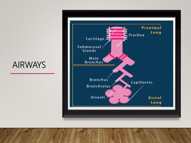 Reactive airway obstruction in children detection management_2018_pmm | PPT