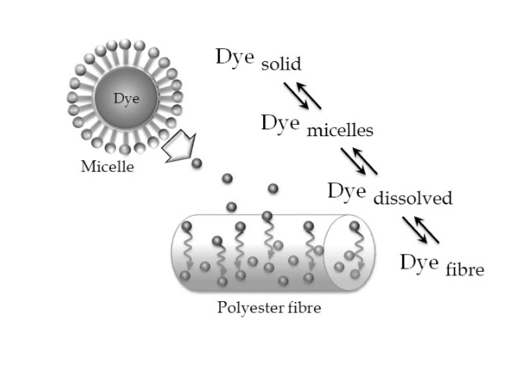 Reactive dye and disperse dye | PPT