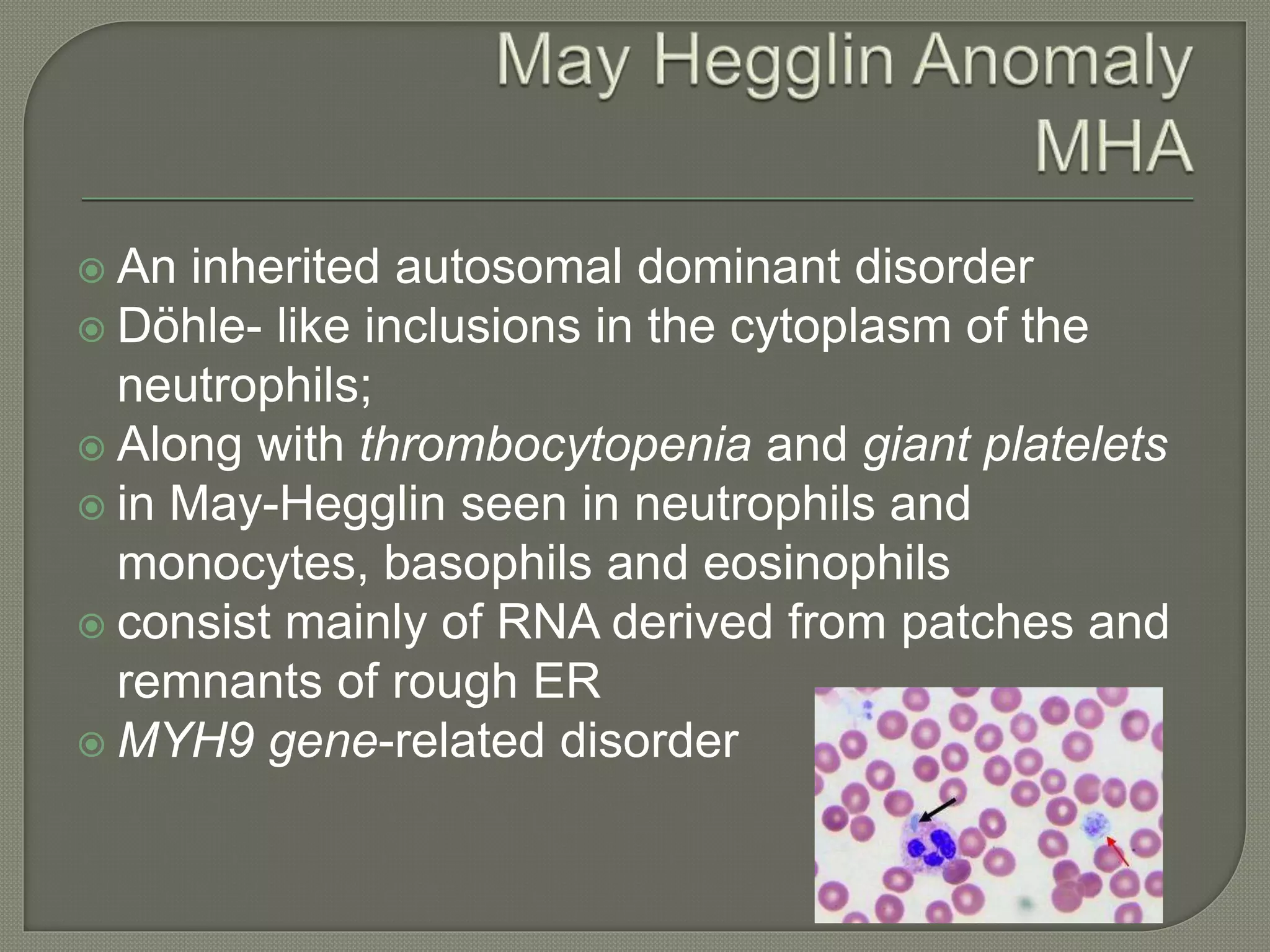 Reactive Atypical Abnormal Morphology of neutrophils | PPTX