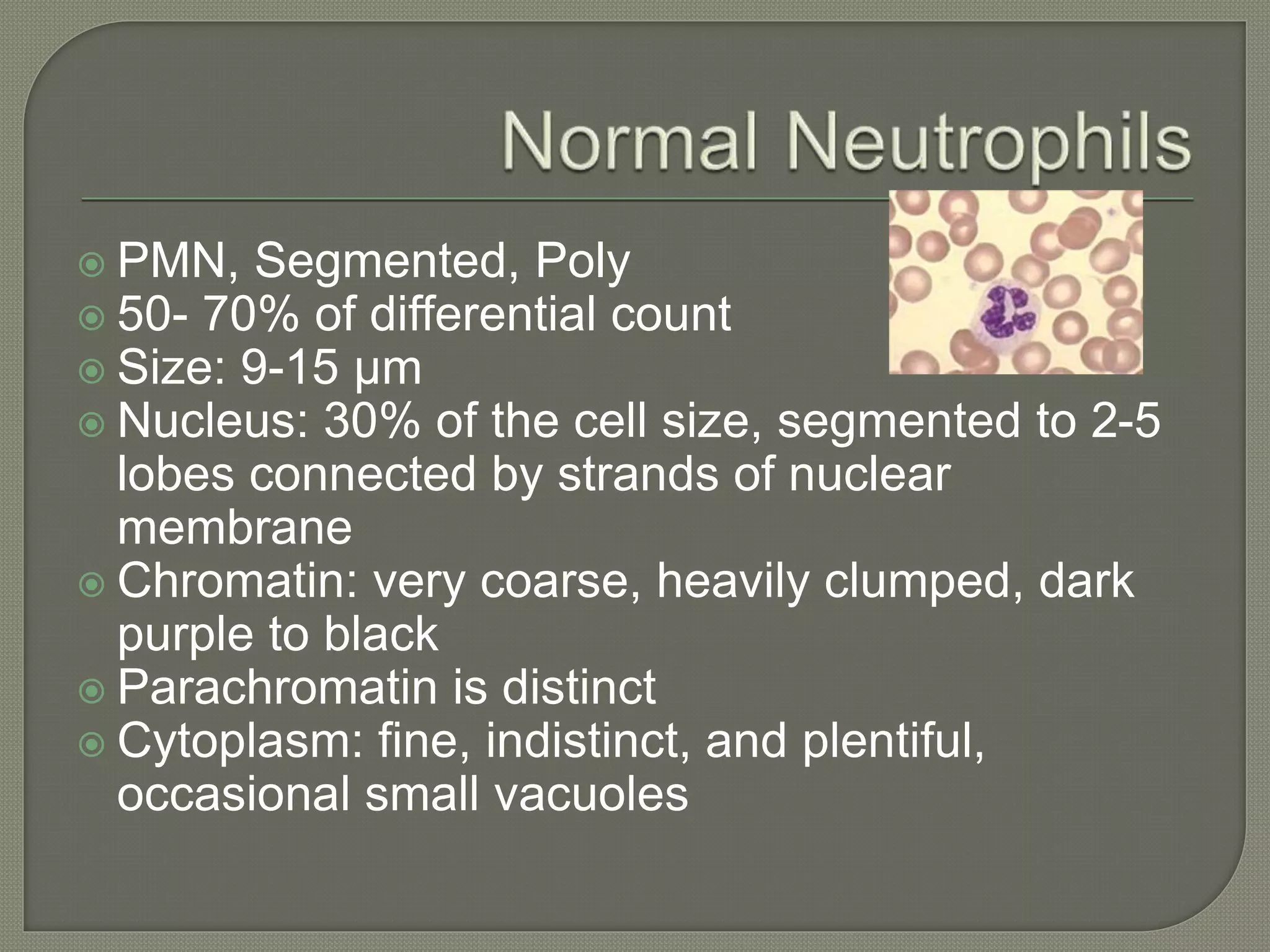 Reactive Atypical Abnormal Morphology of neutrophils | PPTX