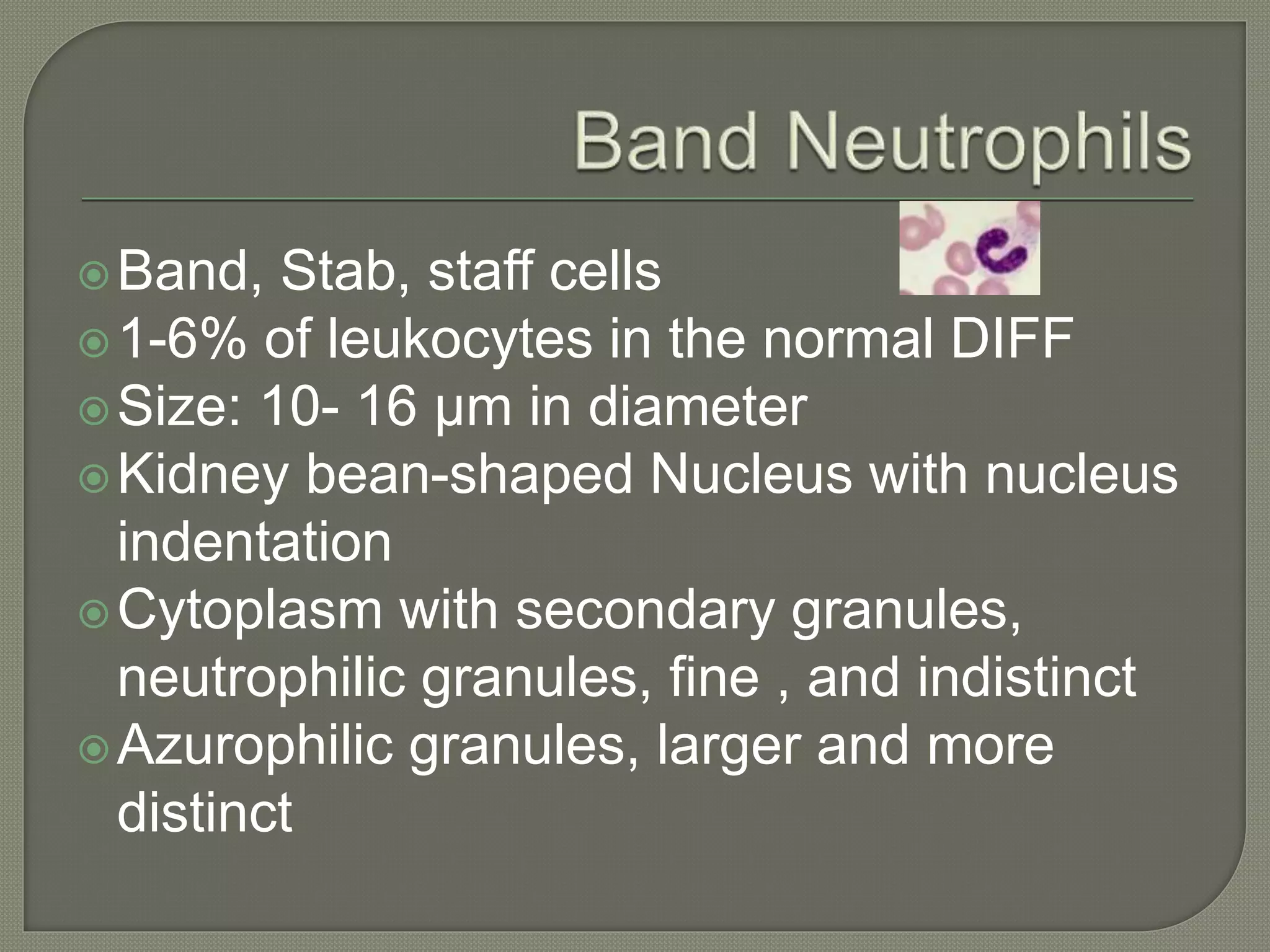 Reactive Atypical Abnormal Morphology of neutrophils | PPTX