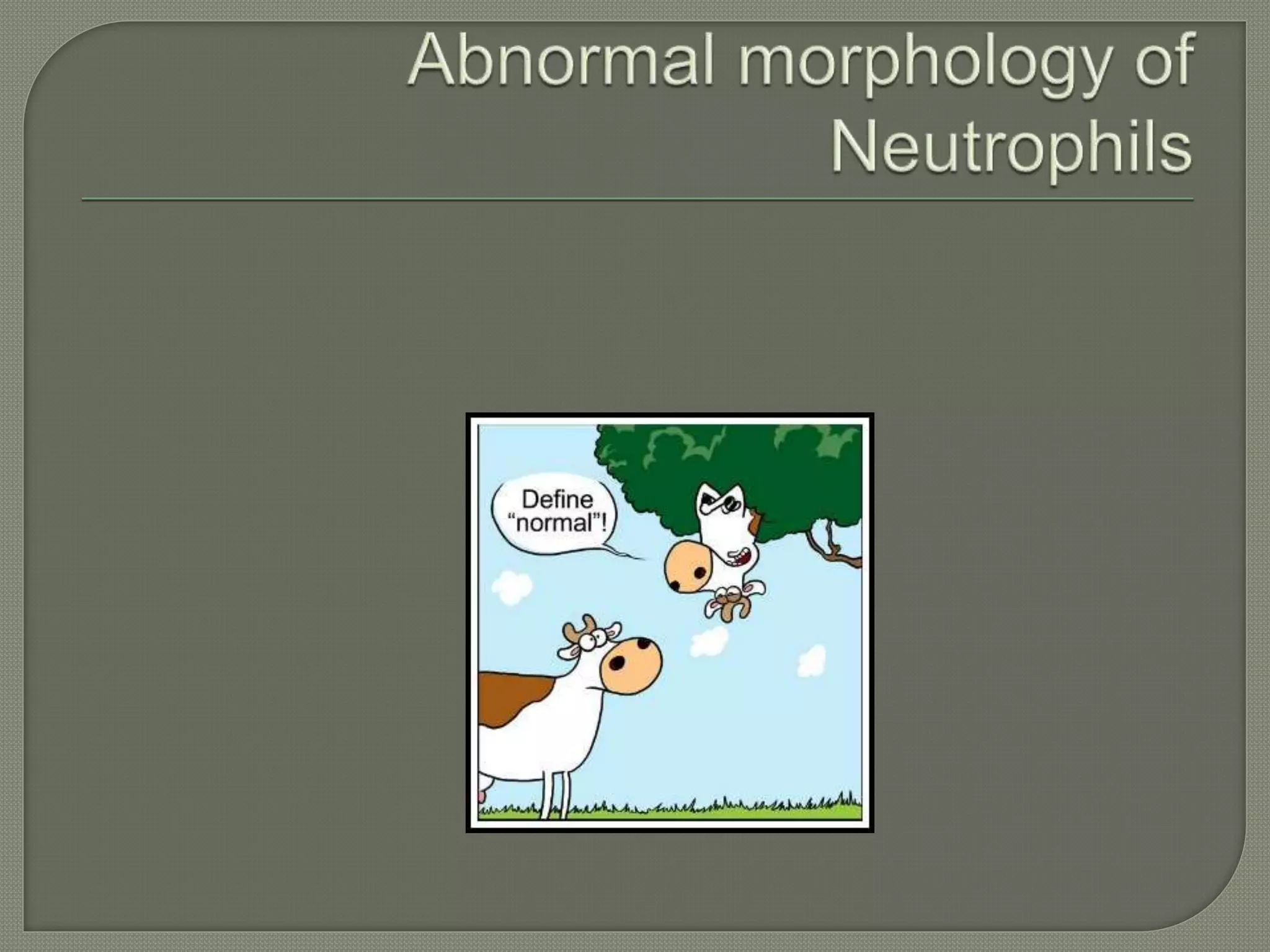 Reactive Atypical Abnormal Morphology of neutrophils | PPTX