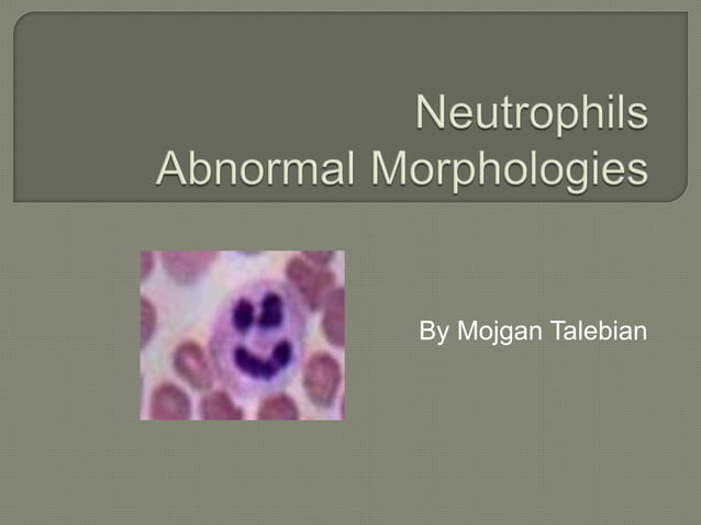 Reactive Atypical Abnormal Morphology of neutrophils | PPTX | Blood ...