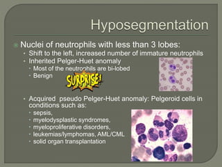 Reactive Atypical Abnormal Morphology of neutrophils | PPTX