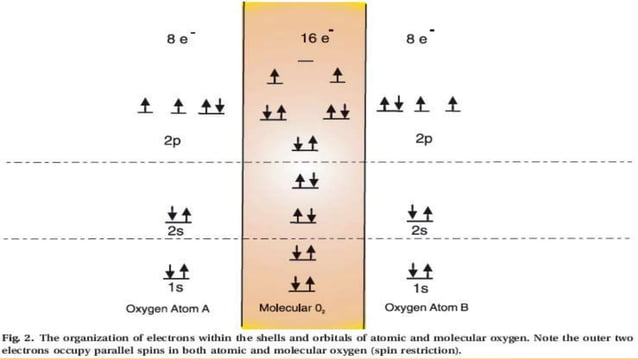 Reactive oxygen species | PPTX
