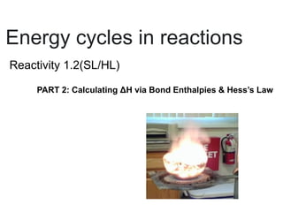 reactivity 1.2 (SL_HL) Energy cycles by Anoosha Qaisar | PDF