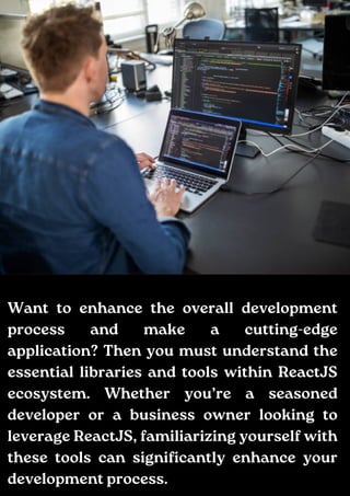 ReactJS Ecosystem: Essential Libraries and Tools Your Developer Should ...