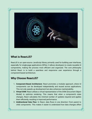 ReactJS Development_ Everything You Need to Know.pdf
