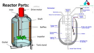 Reactors & parts in API & Chemical Industries | PPT