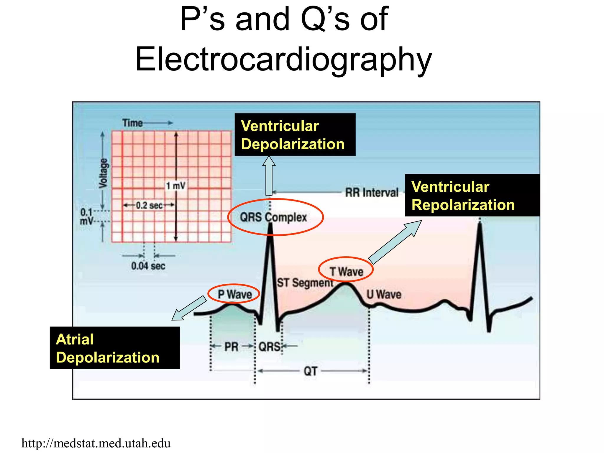 ECG reading | PPTX