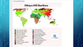 Reader at work 2 ve Dünya dilleri.pptx