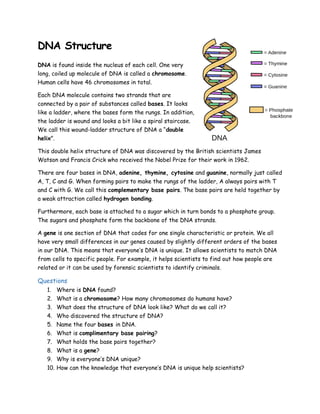 Reading-Task-DNA-Structure Key stage 3 .docx