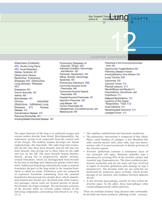 Reading 9 26 | PPTX