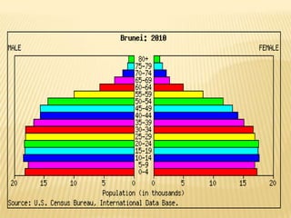 Reading age sex pyramid - lesson 5 | PPTX