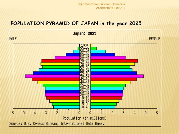 Reading Age Sex Pyramid Lesson 5