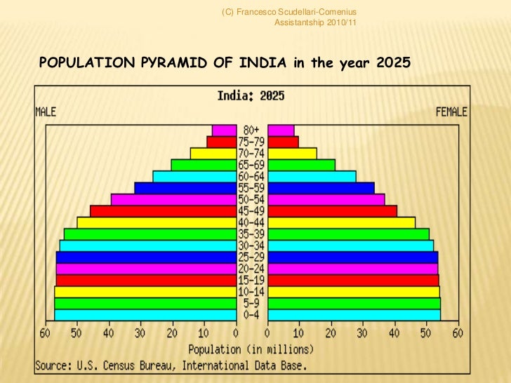 Reading Age Sex Pyramid Lesson 5