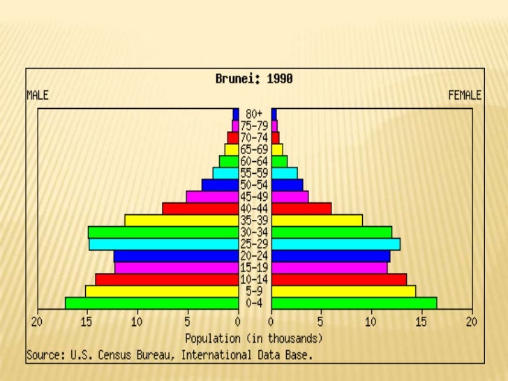 Reading Age Sex Pyramid Lesson 5