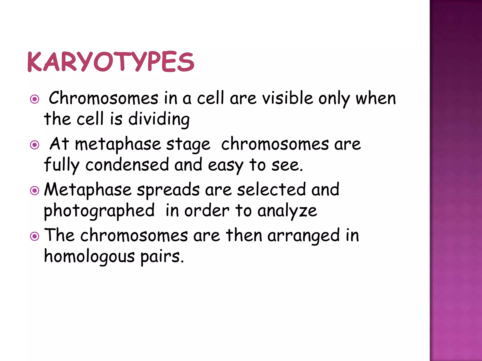 Karyotypes and Karyotyping | PPTX