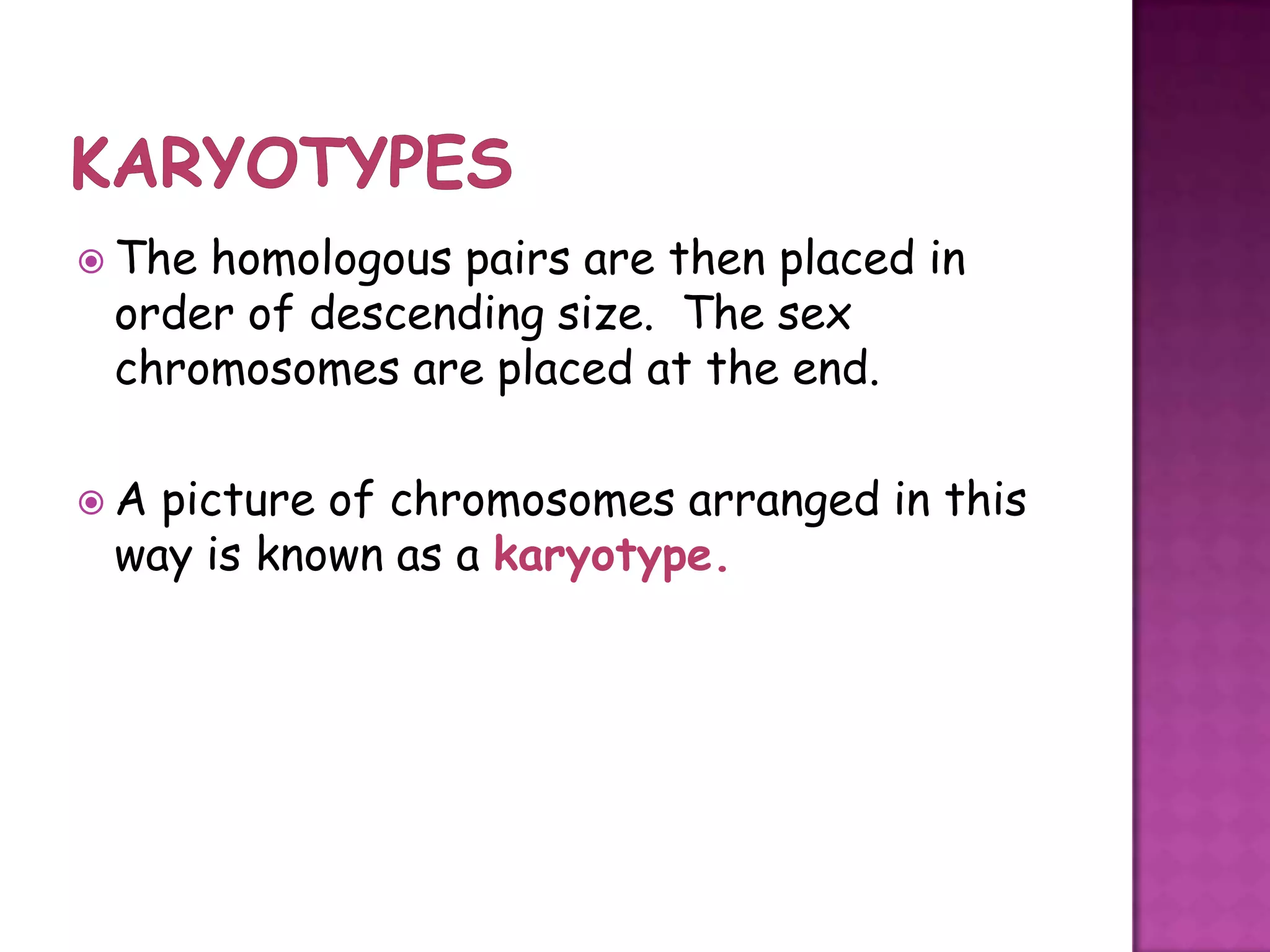 Karyotypes and Karyotyping | PPTX