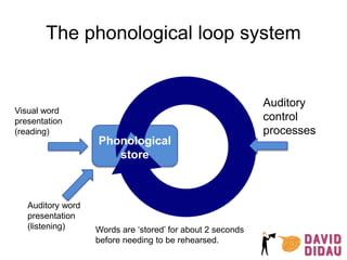 Reading aloud | PPTX