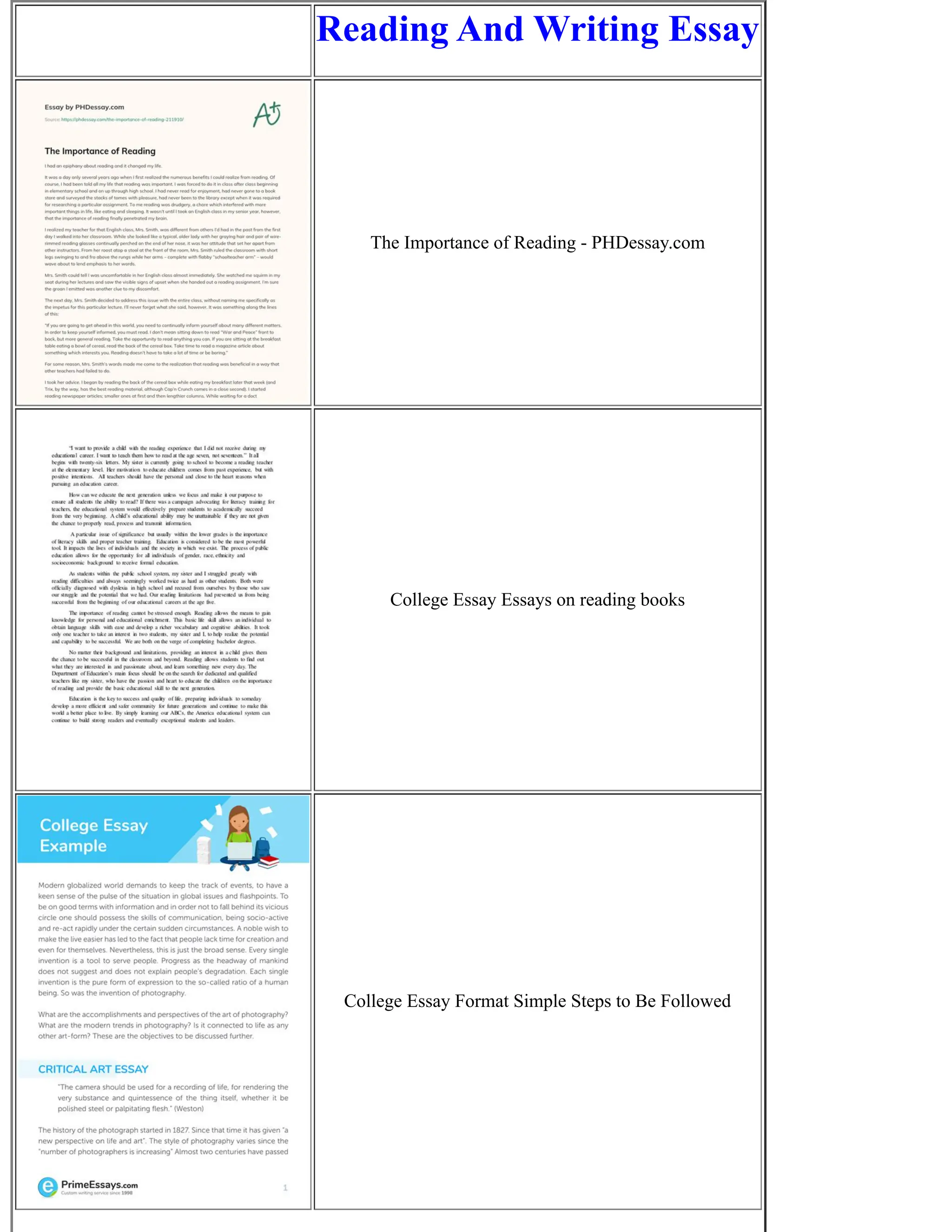 Reading And Writing Essay | PDF