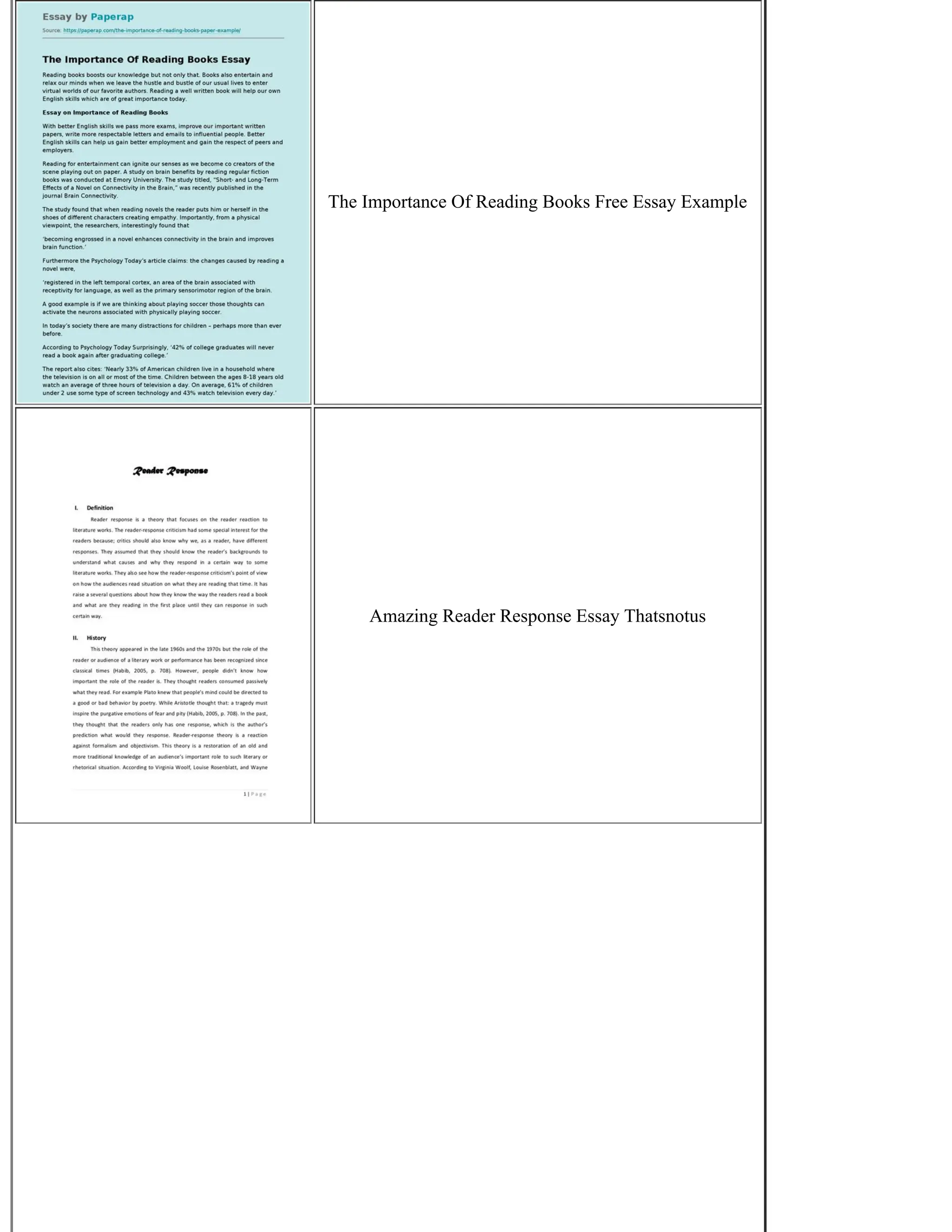 Reading And Writing Essay | PDF