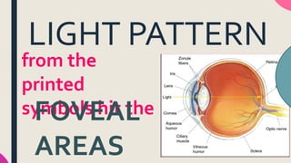 Reading as a Physiological Process | PPTX